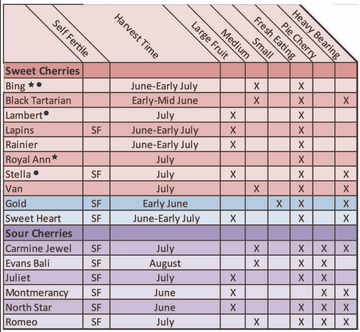 Edibles-Cherry Trees – Farmington Gardens