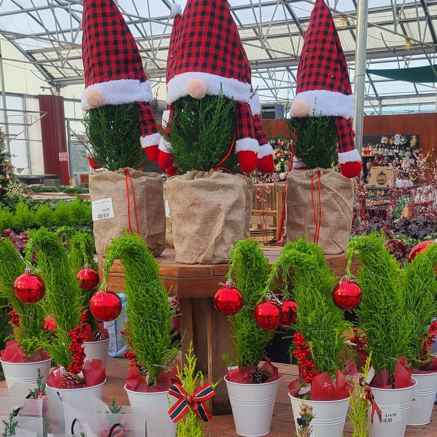 Garden Gallery – Farmington Gardens