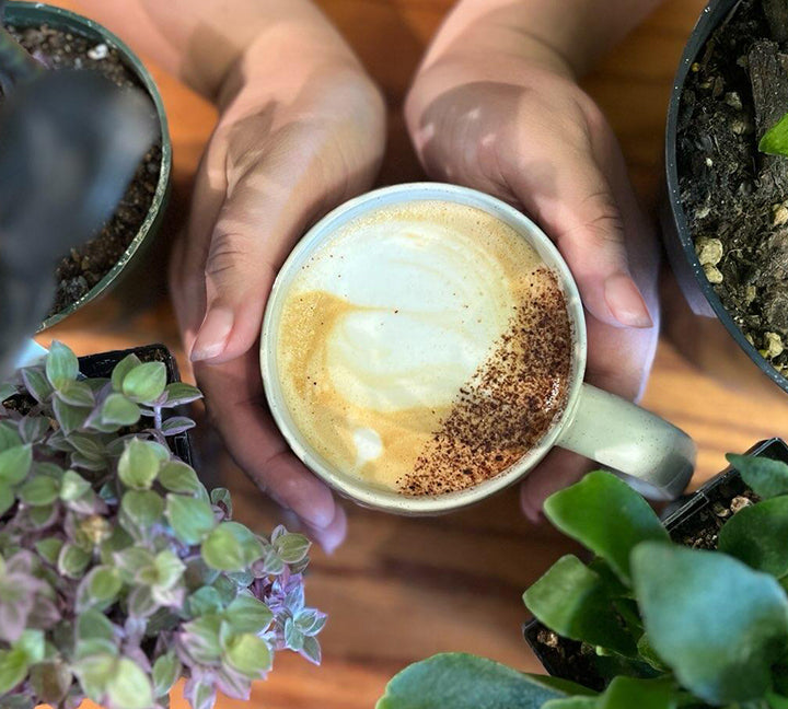 Coffee Shop – Farmington Gardens